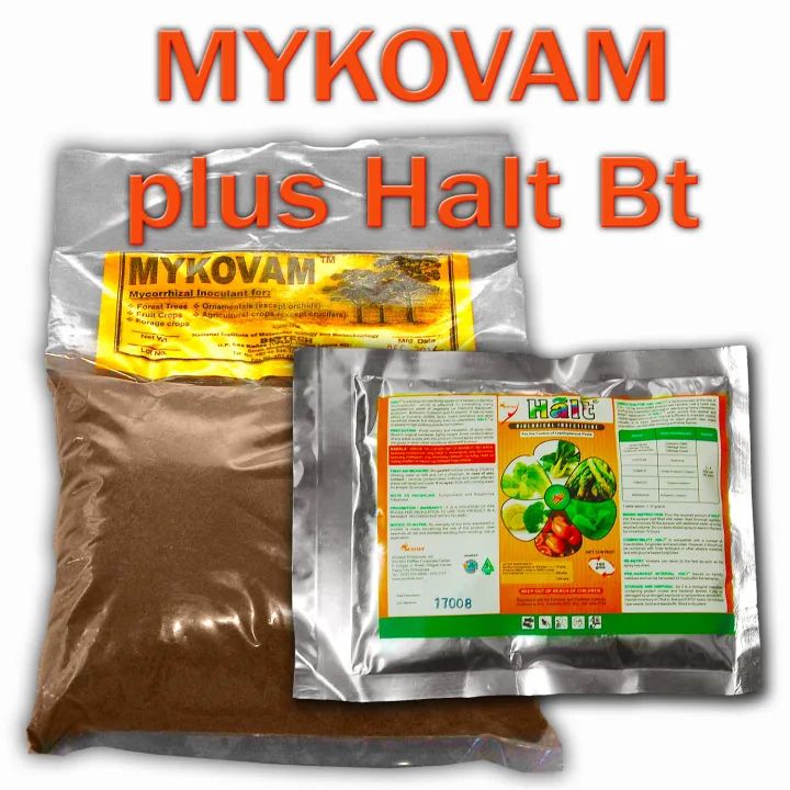 Mykovam and Halt Bt (Bacillus Thuregiensis) 2 in one pack tipid ...