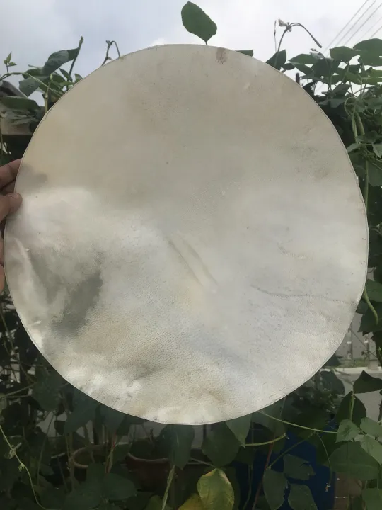 Pal thol / White Skin for Urumi Melam Indian Traditional Drum | Lazada