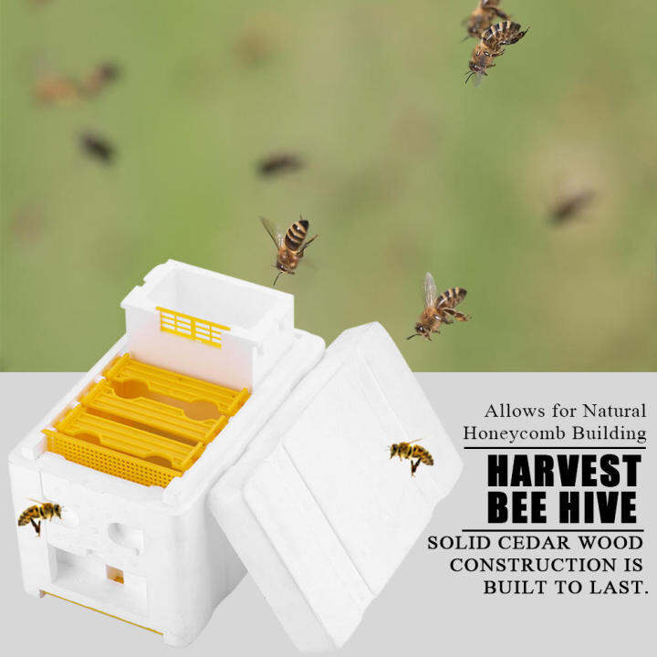 【COD】Harvest Bee Hive การเลี้ยงผึ้ง King Box กล่องผสมเกสรเครื่องมือ ...