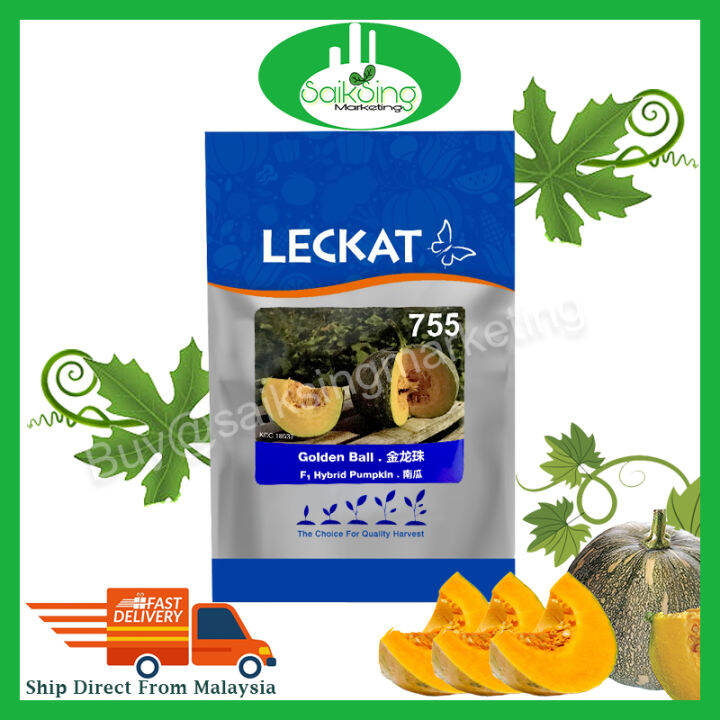 100G 755 Leckat F1 Hybrid Pumpkin Golden Ball / Labu Emas Manis | Lazada