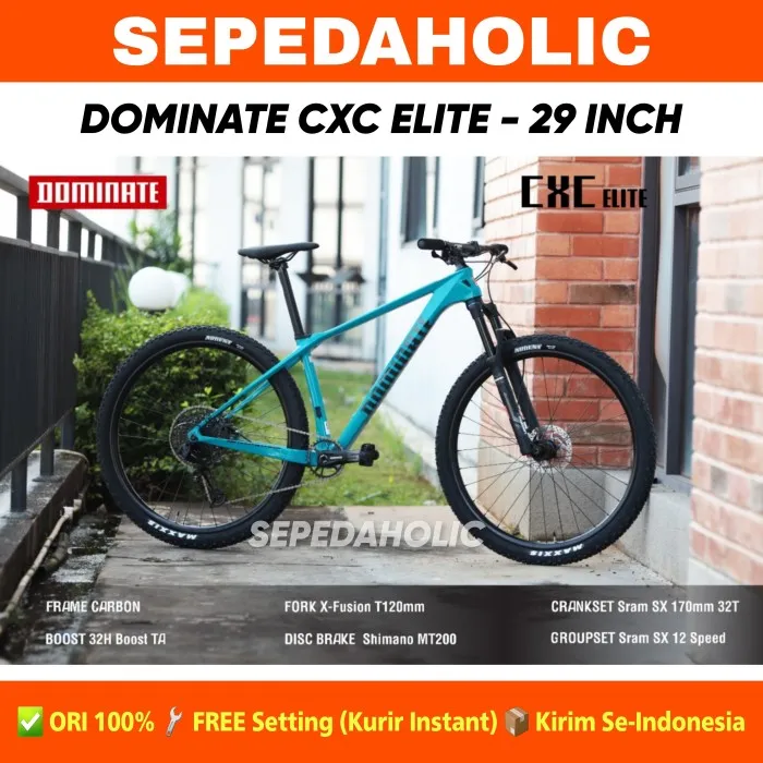 Sepeda Gunung MTB DOMINATE CXC ELITE 29 Inch Carbon 12 Speed Hidrolik | Lazada Indonesia