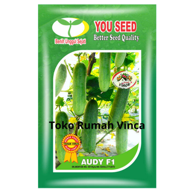 Benih Bibit Biji Timun Baby AUDY F1 20gr Timun Lalap dari Cap You seed ...