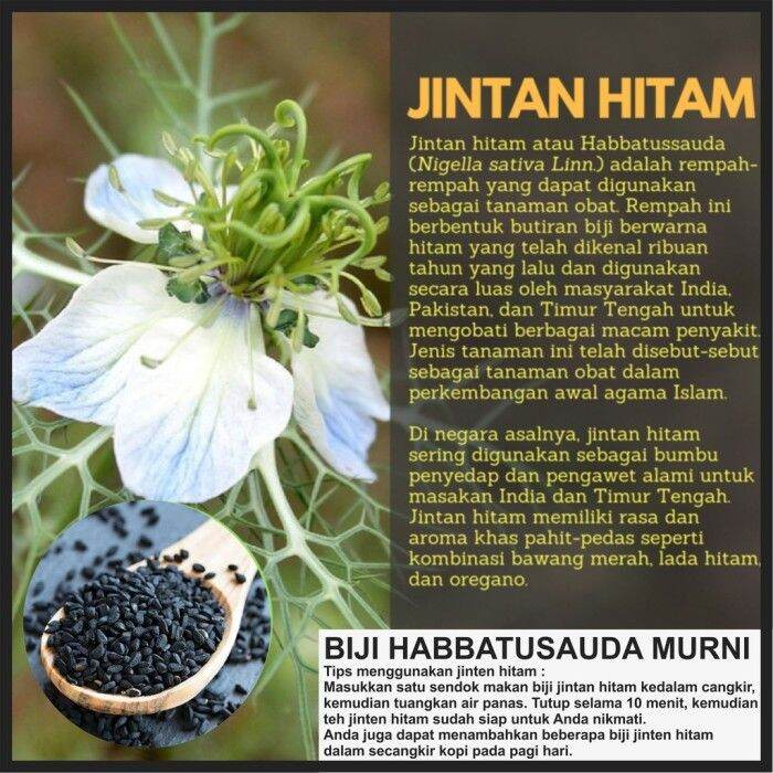 Jinten Hitam Kering Rempah Jamu Herbal Tradisional Imunitas tubuh ...