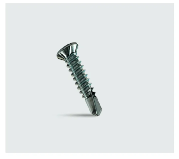 AA Hardiflex Screw Big Head 20pcs. to 100 pcs. | Lazada PH