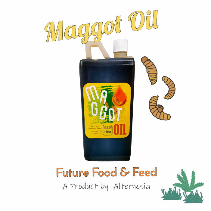 Minyak Maggot Oil Arwana, Channa, Koi, Murai, Louhan, Reptil, Ternak ...