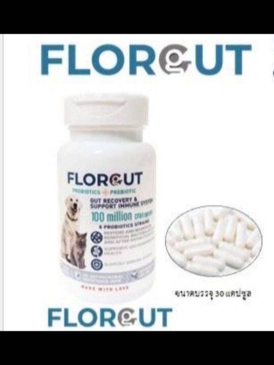 Florgut 30 เม็ดโพรไบโอติกและพรีไบโอติก สำหรับ สุนัขและแมว ปรับสมดุล ...