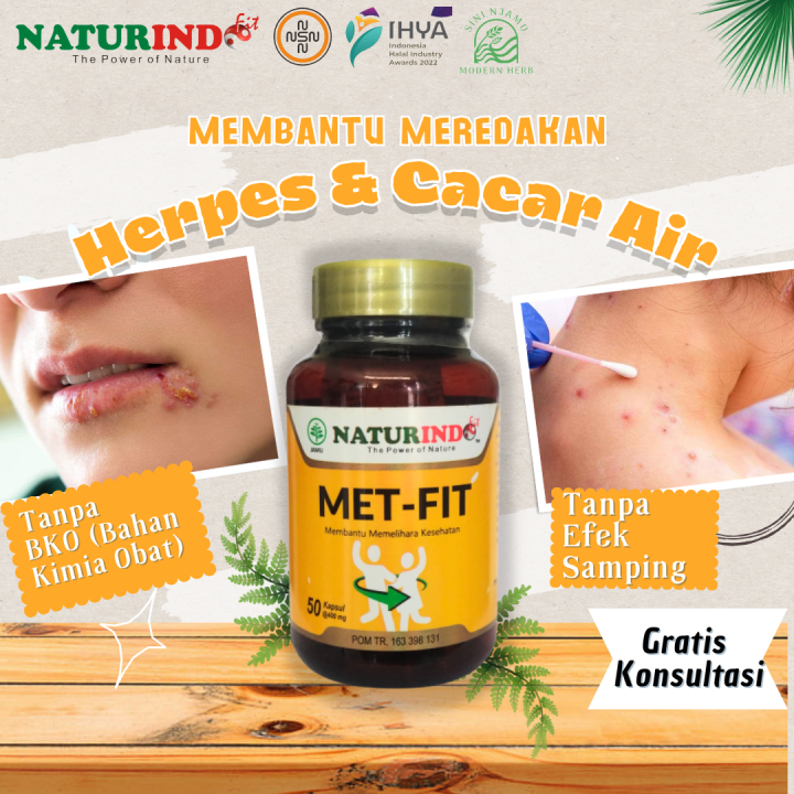 Obat herpes gatal Cacar air Benjolan bernanah Herbal metabolisme tubuh ...