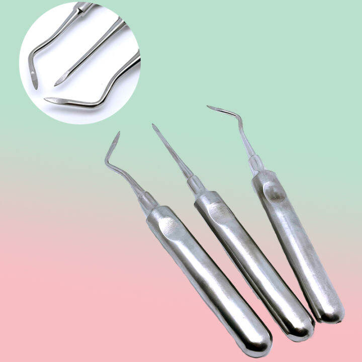 Curved Roots Tooth Extraction at Helen Byrne blog