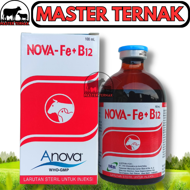 NOVA Fe + B12 (Anti Anemia) Inj 100ml - Vitamin B12 dan Zat besi untuk ...