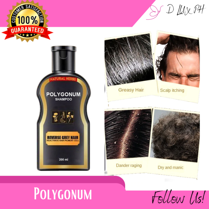 Polygonum Multiflorum Refreshing Oil Control Shampoo Moisturizing ...