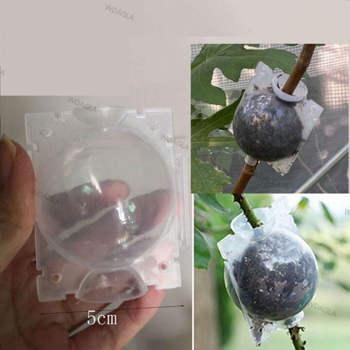 5cm Garden Fruit Tree Plant Rooting Ball Root Growing Boxes Case ...