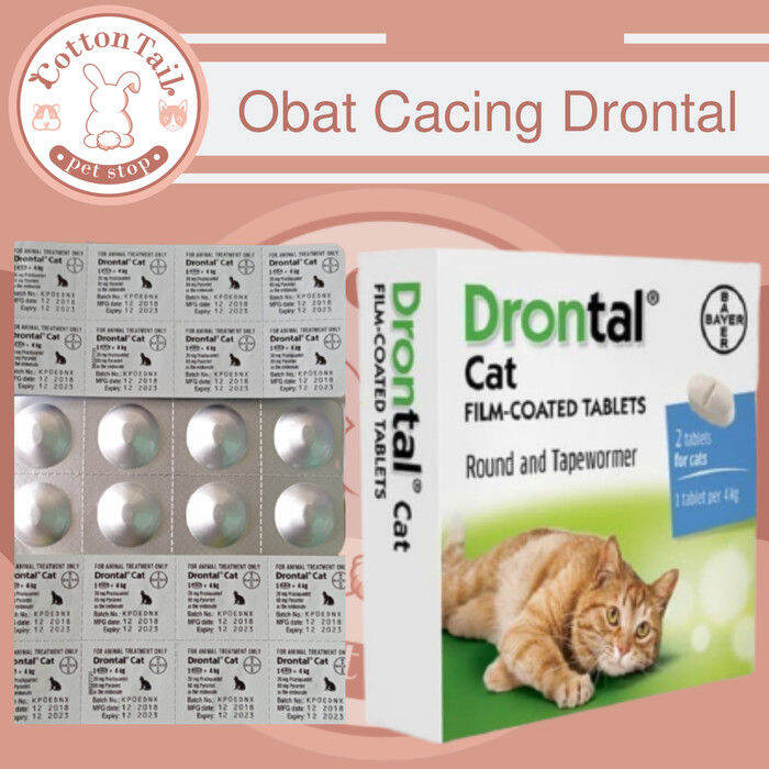 DRONTAL CAT OBAT CACING KUCING (HARGA SATU TABLET) | Lazada Indonesia