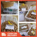 cod100 Benih Bibit Kentang G0 granola Bersertifikat | Lazada Indonesia