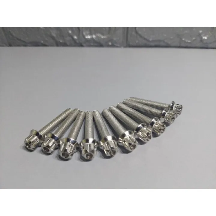 CNC Crankcase Bolts Aerox & Nmax Version 1 & 2 *10pcs | Lazada PH