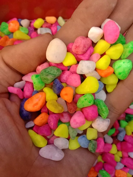 COLORED PEBBLES for Aquarium or garden decor | Lazada PH