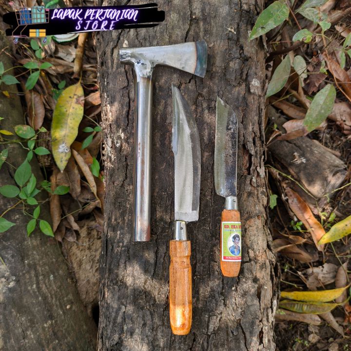 Paket 3 Pcs Jagal Hewan Kapak Dan Pisau - Kapak Palu Dua Fungsi Cacah ...