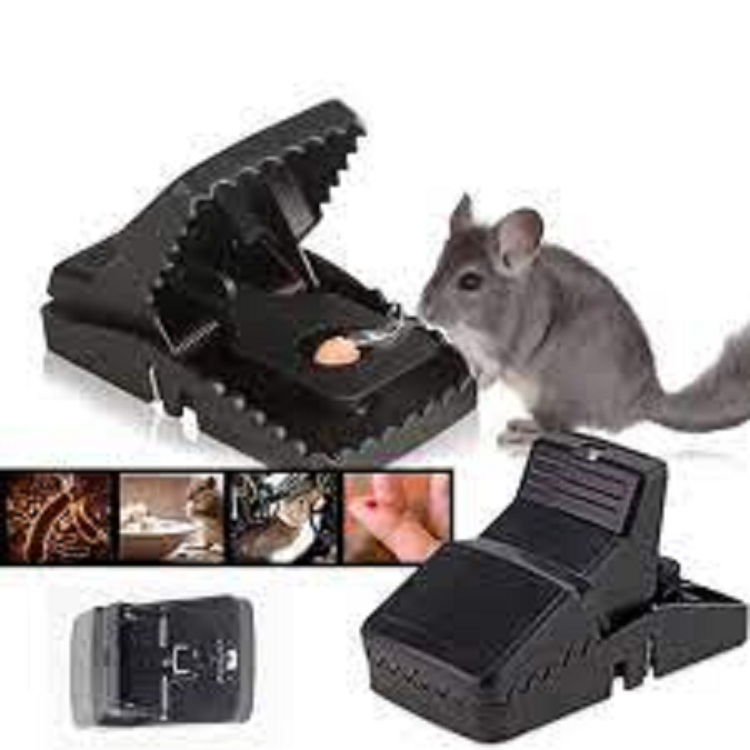 PLASTIC MOUSE TRAP RODENT | Lazada PH