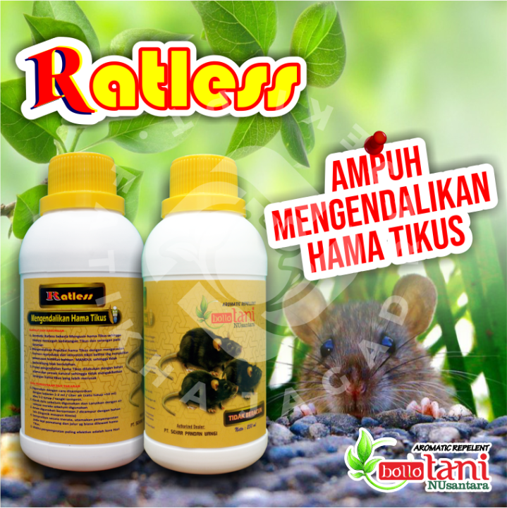 OBAT RACUN TIKUS RATLESS RACUN TIKUS AMPUH UNTUK MENGUSIR TIKUS ANTI ...