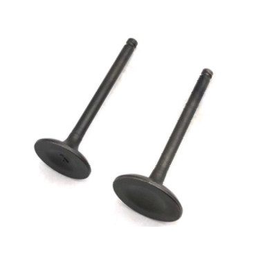 YAMAHA NVX NMAX Y16 N MAX VALVE SET VALVE INNER EXHAUST | Lazada