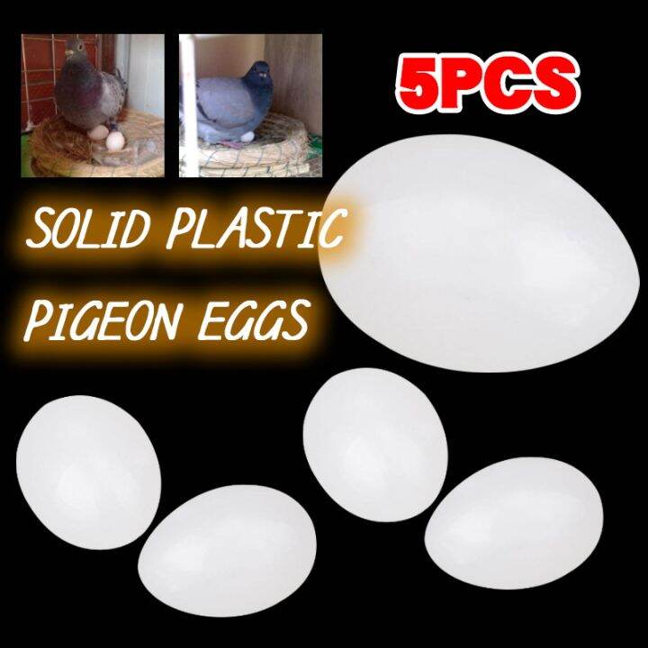5Pcs Artificial pigeon eggs Fake pigeon eggs Aviculture Tools Pigeon ...