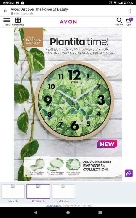 Avon Plantita Wall Clock | Lazada PH