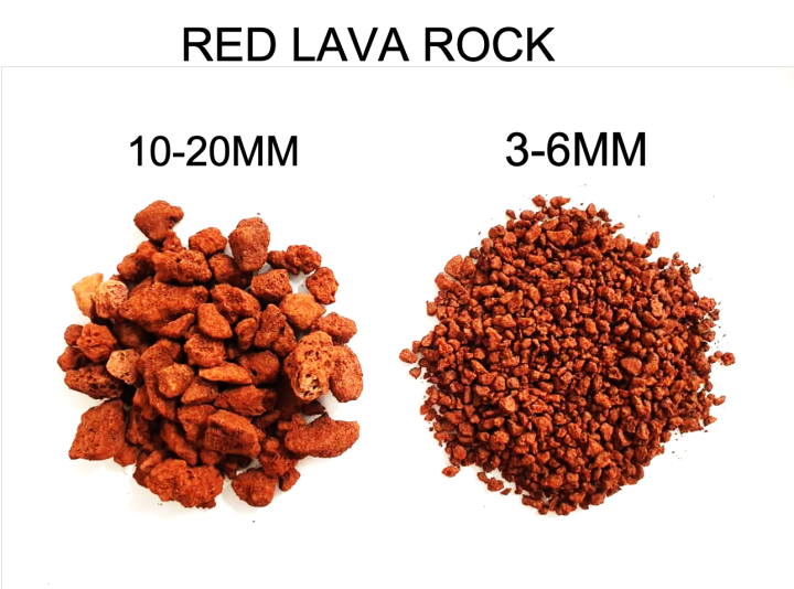 Lava Stone Red Volcanic Rock For Aquarium Filter Media 1kg/500g | Lazada
