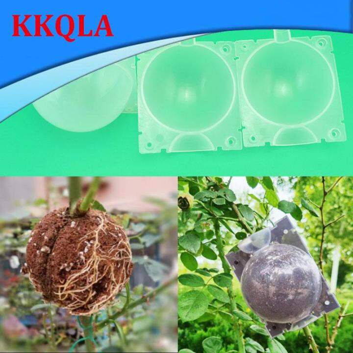 QKKQLA New 5cm Plant Rooting Ball Grafting Rooting Case fruit tree flower branch Growing Box ...