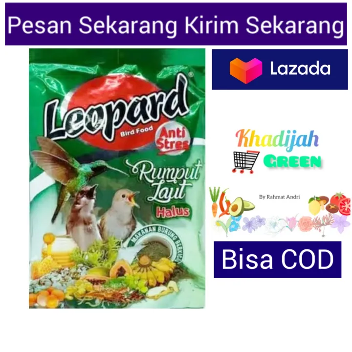LEOPARD VUR HALUS VOER HALUS RUMPUT LAUT ANTI STRESS VUR HIJAU | Lazada ...