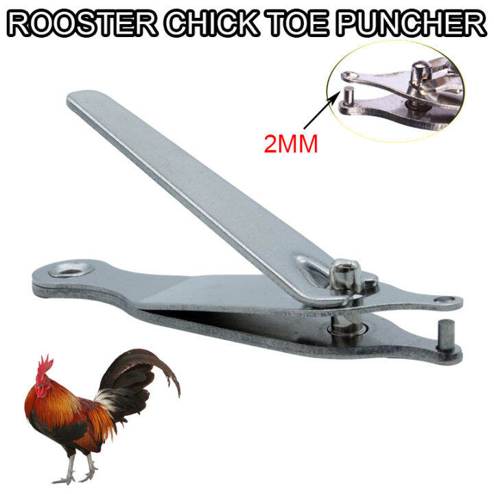 Toe Puncher for Chicks Gamefowl Rooster Nail Cutter Type Fighting Cock ...