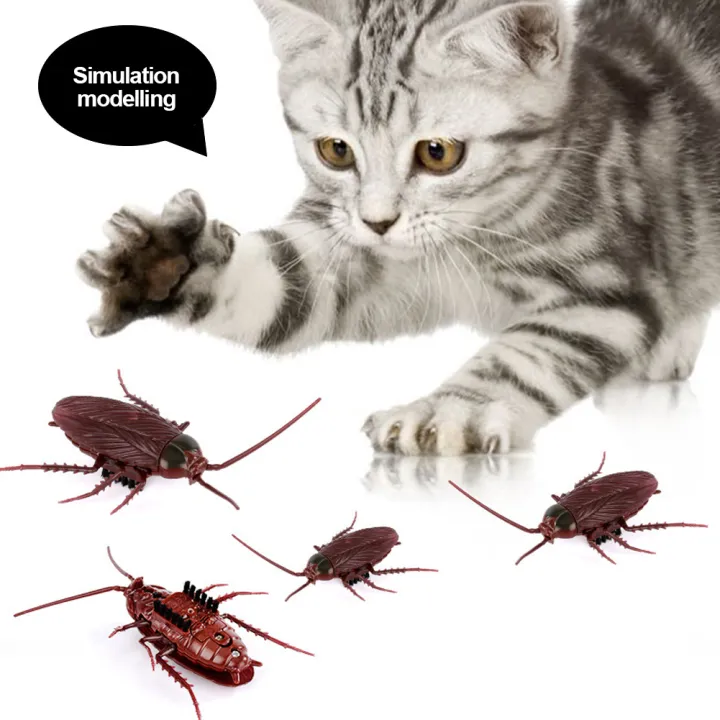 Simulated Cockroach Toy Cat Electric Vibration Cockroach Toys Pet Kitten Interactive Toys ...