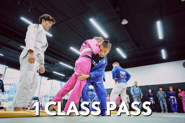 1 Class Pass for a Kids Brazilian Jiu-Jitsu (BJJ) or Muay Thai Lesson ...