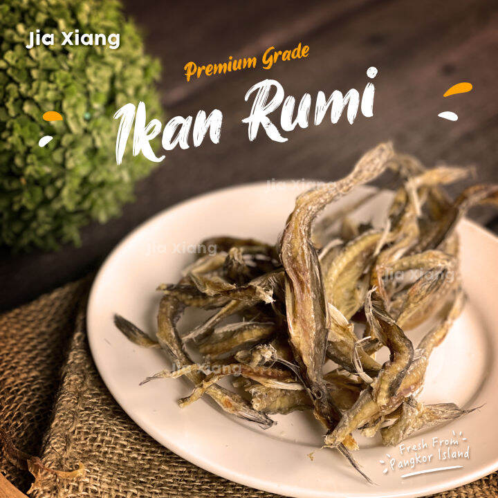 [100g] Ikan Rumi (L) 西丁咸鱼 Salted Bombay Fish | Lazada