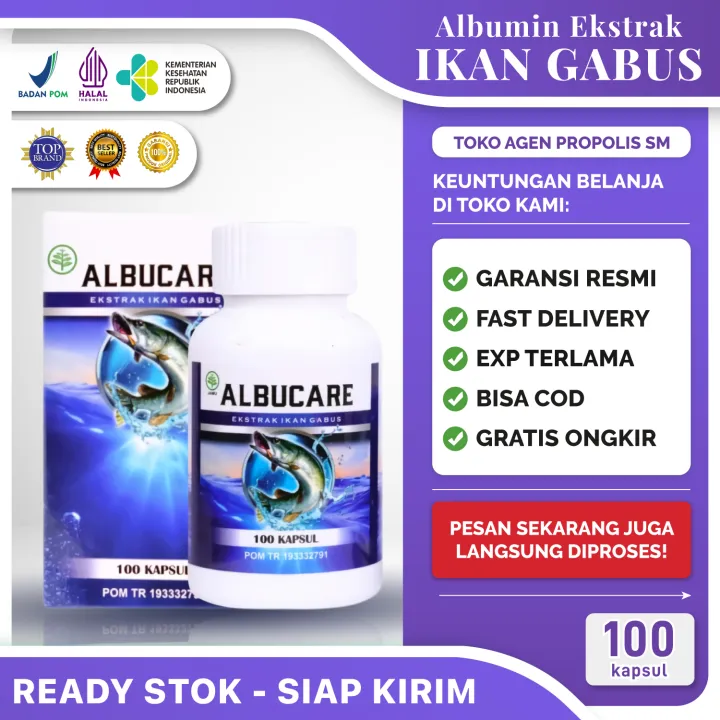 Albucare Ekstrak Ikan Gabus 100 Kapsul, Kapsul Albumin, Obat Penambah ...