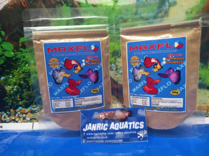 MAXFLO FRY MASH 60GRAMS FOR FRY | Lazada PH