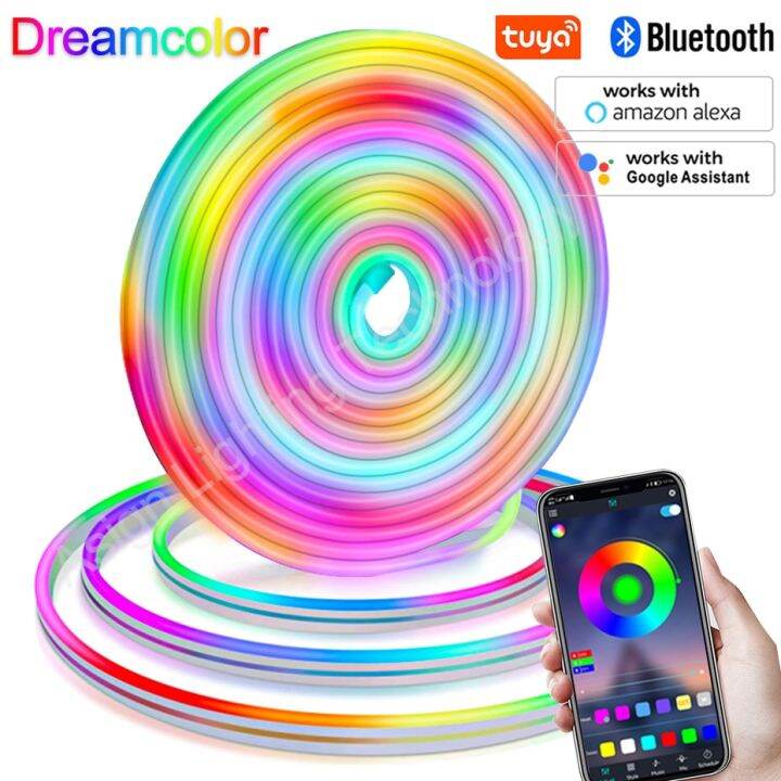 Dreamcolor LED Neon Strip 12V RGBIC Neon Rope Light Waterproof Chasing ...