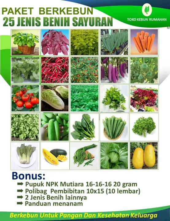 Paket Berkebun 25 Jenis Benih Sayuran Bonus Pupuk Polibag Benih dan Lembar cara Taman | Lazada ...