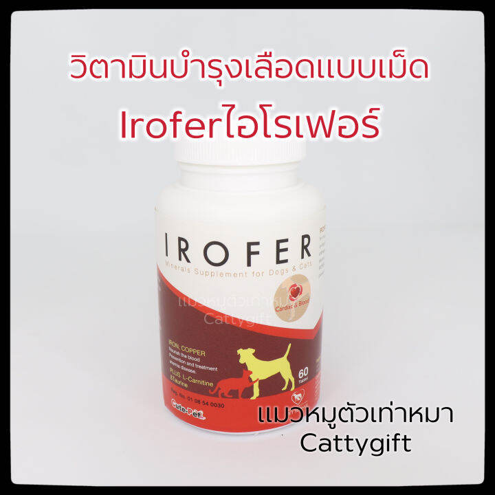 Irofer วิตามินบำรุงเลือดไอโรเฟอร์แบบเม็ด60เม็ด | Lazada.co.th