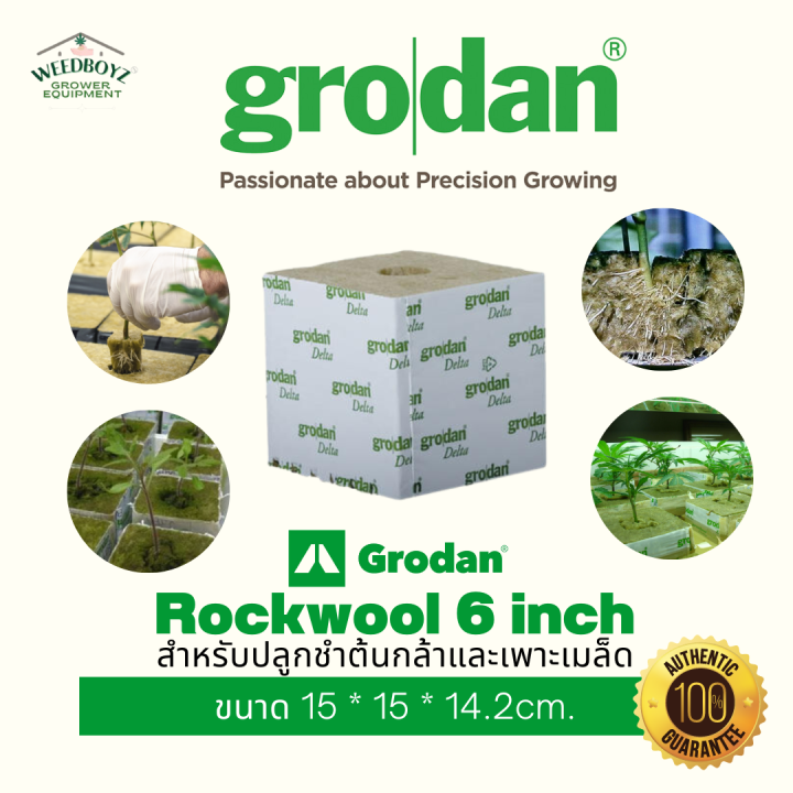 Rockwool Grodan ร็อควูล 6" 150*150*142mm. วัสดุใยหินปลูกต้นไม้ เพาะต้น ...