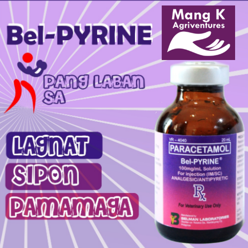 BEL-PYRINE ANALGESIC ANTIPYRETIC PARACETAMOL 10% | Lazada PH