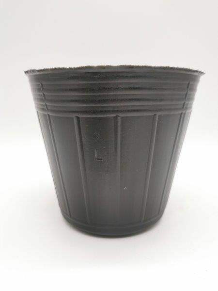 BLACK PLASTIC THICK SOFT POTS #5 (6 INCHES X 5.5 INCHES) | Lazada PH