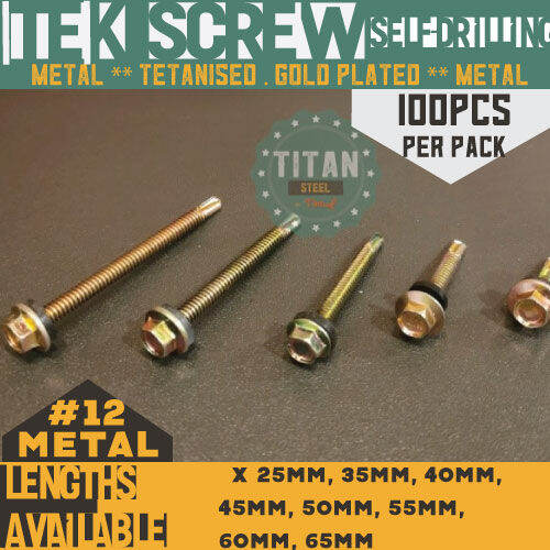 Titan Steel - 100pcs - #12 Tekscrew / Tek Screw for METAL (Self ...