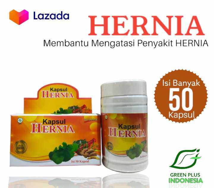 Kapsul Hernia Obat Herbal Turun Berok isi 50 Kapsul Obat Buah Zakar ...