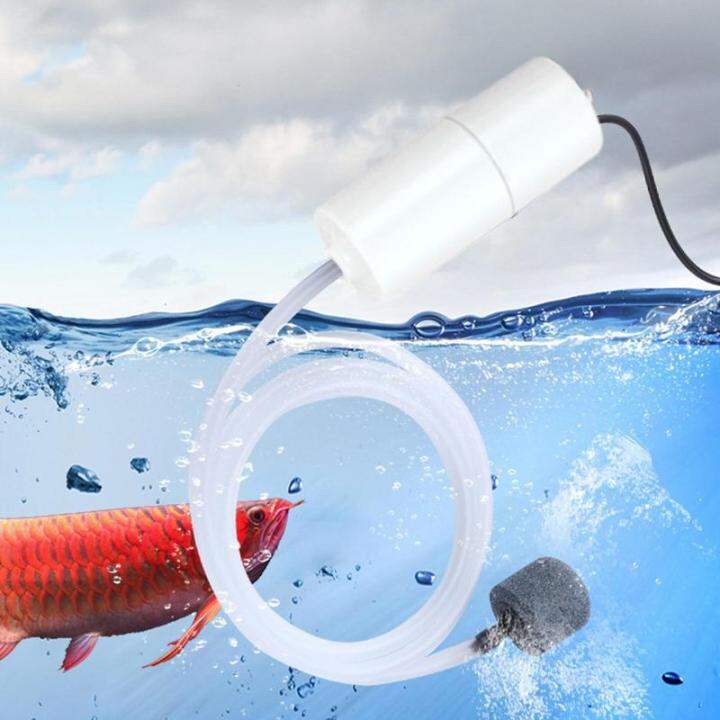Tiny Water Pump Battery-Operated Aquarium Pump With Uniform Air Bubble ...
