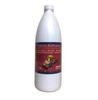 Natures BioProtein Natural Probiotic for Gamefowl Stags and Pullet ...