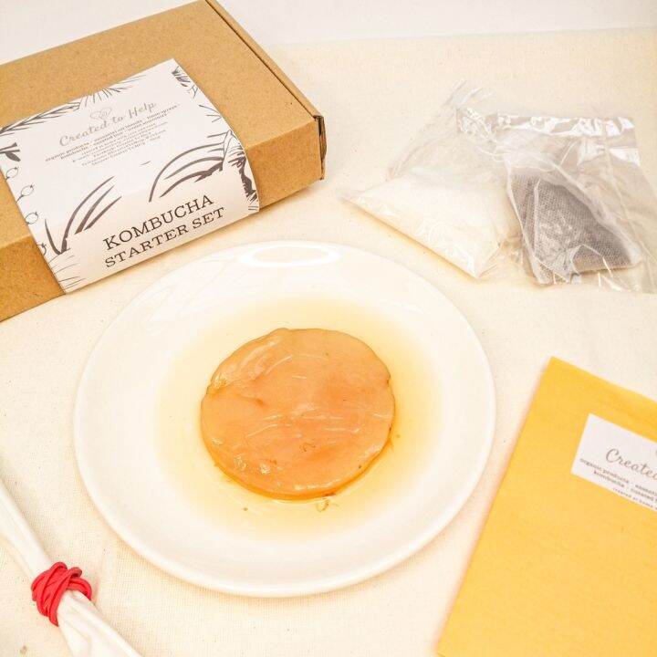 SCOBY D-I-Y KOMBUCHA STARTER KIT COMPLETE AND BASIC SETS PROBIOTIC ...