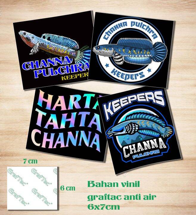 sticker channa pulchra stiker akuarium channa stiker pulchra sticker ...