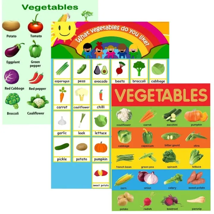 Laminated Vegetables Charts for Kids, Learners and Educators, Colorful ...