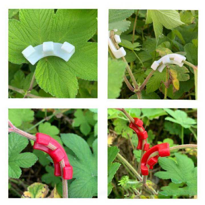 90 Degree Plant Trainer Clips Growth Plant Branches Bender for Plant ...
