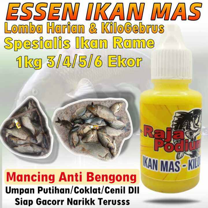 Essen Ikan Mas RAJA PODIUM Khusus Mancing Lomba Harian KiloGebrus Ikan ...