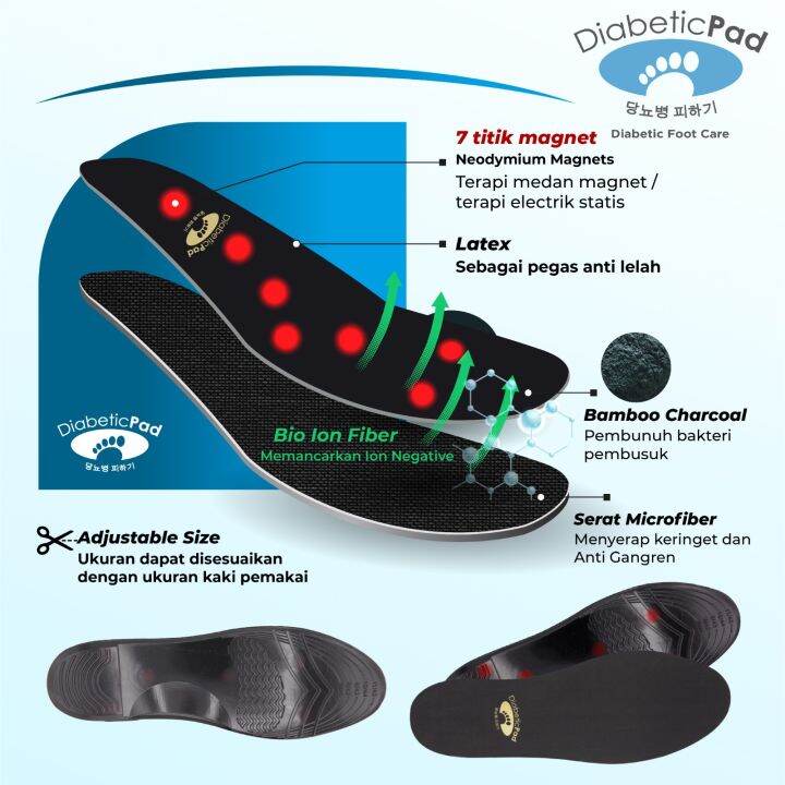 Diabetic Pad - Buy One Get One Free | Lazada Indonesia